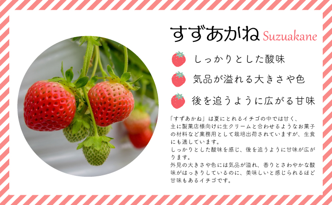 【先行予約受付中】北海道浦河産 夏いちご 「すずあかね」230g×3P[13-150] / 北海道浦河町 | セゾンのふるさと納税