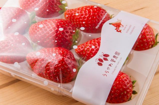 【先行予約受付中】北海道浦河産 夏いちご 「すずあかね」230g×3P[13-150] / 北海道浦河町 | セゾンのふるさと納税