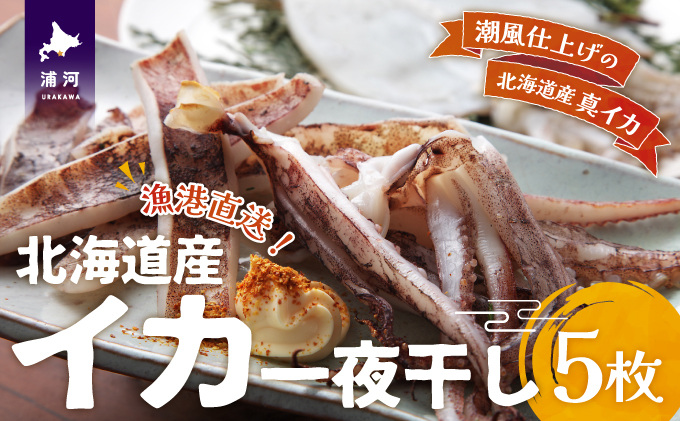 北海道産『イカ一夜干し』130g前後×5枚[02-1375] / 北海道浦河町 | セゾンのふるさと納税