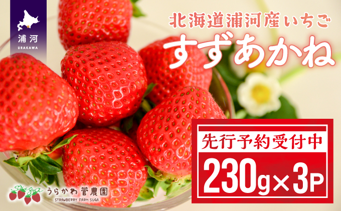 【先行予約受付中】北海道浦河産 夏いちご 「すずあかね」230g×3P[13-150] / 北海道浦河町 | セゾンのふるさと納税