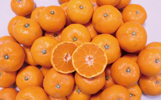 こだわりの和歌山県産 有田みかん 5kg(S～Lサイズおまかせ) ひとつひとつ手選別で厳選!生産者から直送 【2024年11月下旬～1月中旬ごろに順次発送予定】【hdm005】 / 和歌山県北 ...