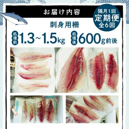 S121-T02_【隔月 6回お届け】天草天然鮮魚を直送 お刺身用柵定期便 / 熊本県天草市 | セゾンのふるさと納税